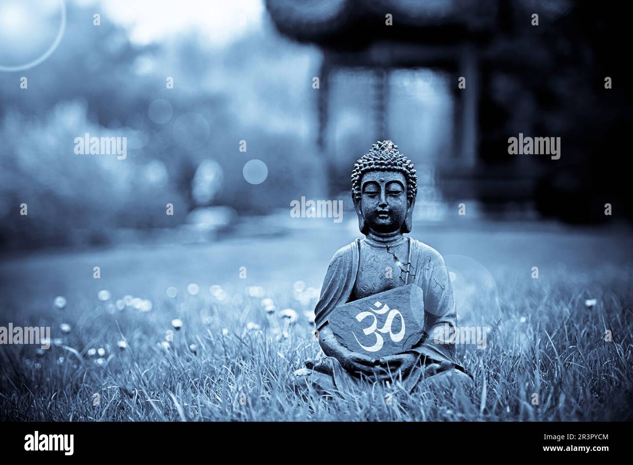 Buddha statue sitting on a meadow with a sign letterling the Om symbol ...