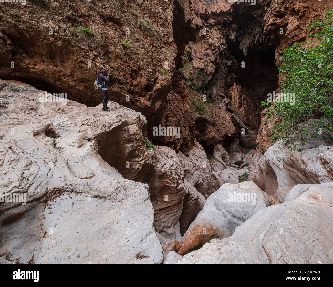 Demnate region hi-res stock photography and images - Alamy