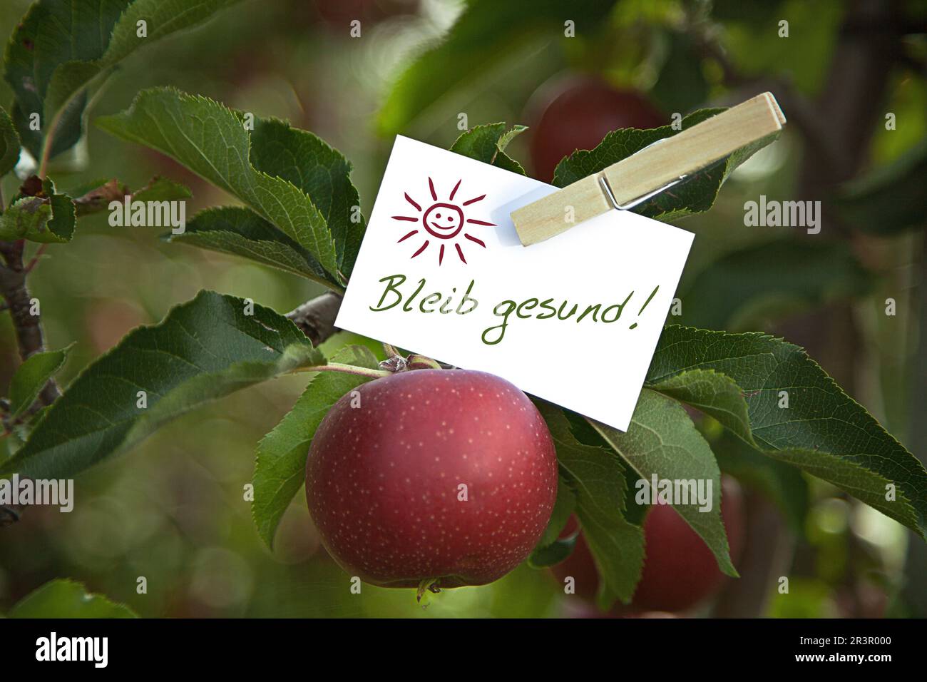memo sheet at an apple tree lettering Bleib gesund, stay healthy Stock ...