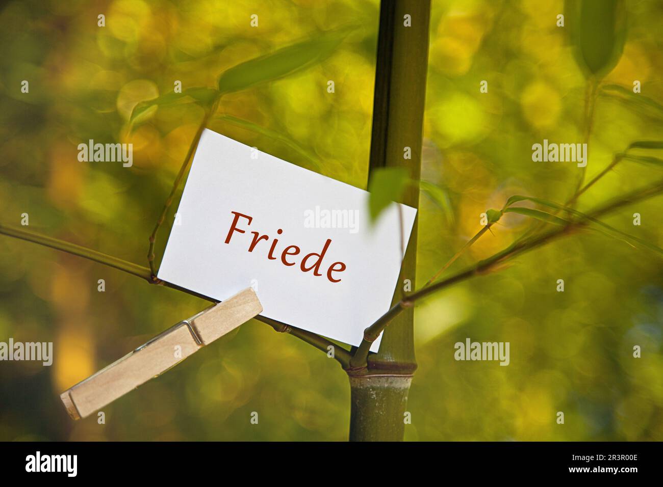 memo sheet at a bamboo lettering Friede, peace Stock Photo - Alamy