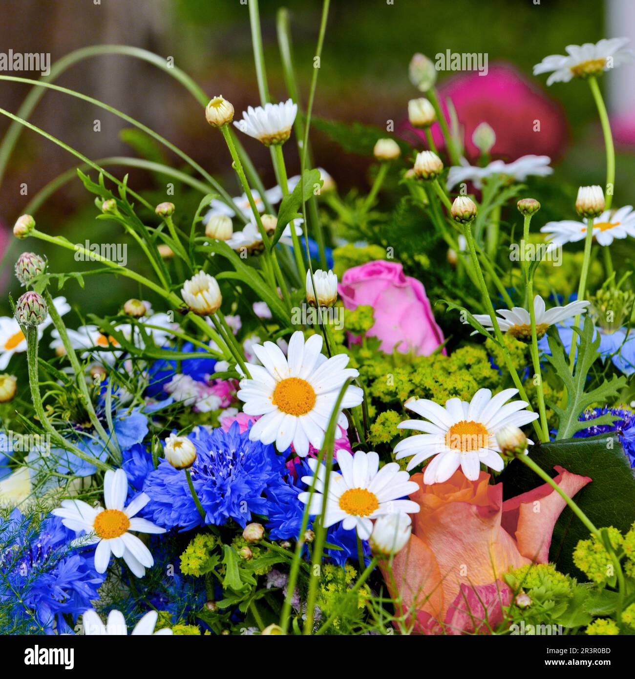 colourful bouquet with gardenflowers, daisies, corn flowers and roses ...