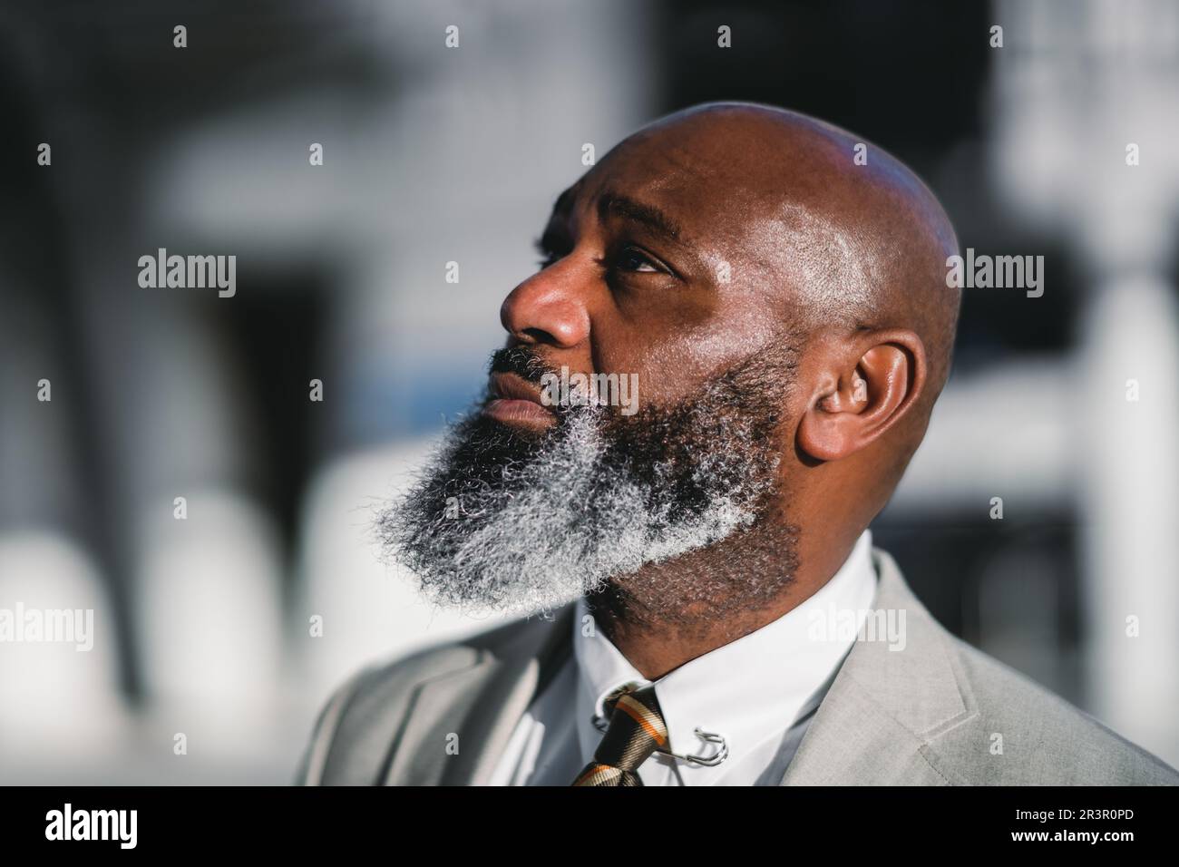 A close-up portrait of the profile of a charming black man with a long ...