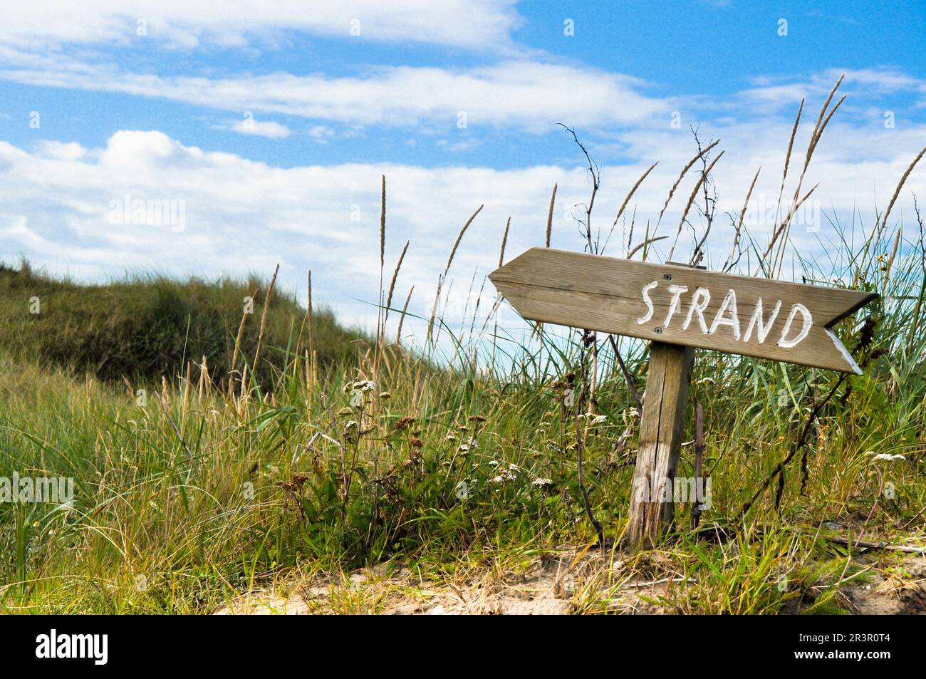 Sign signs signpost signposts signposted signage signages hi-res stock ...