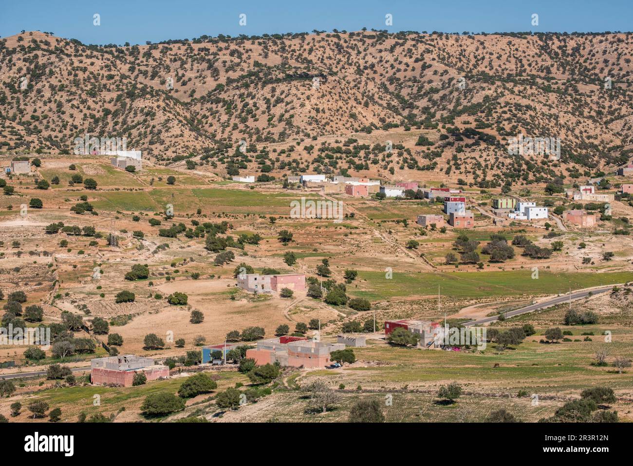 argan tree, Assaka, road from Essaouira to Agadir, morocco, africa ...