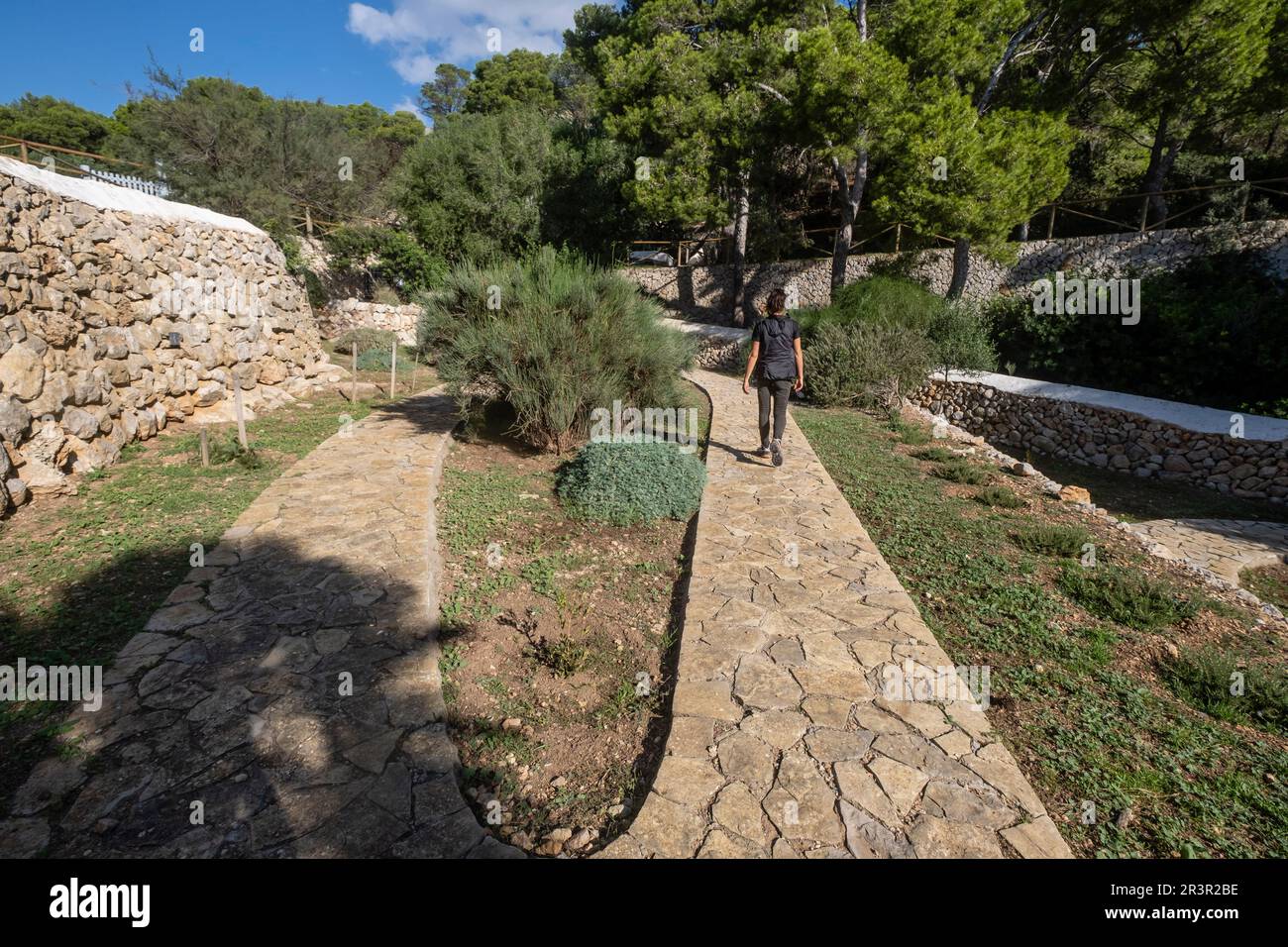 Mediterranean garden of native plants, Sa Dragonera natural park ...