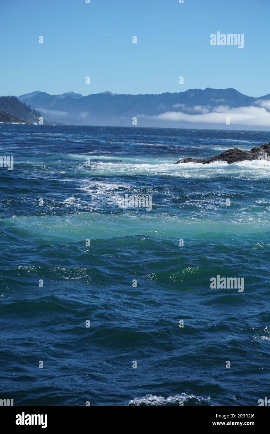 Pacific vibes hi-res stock photography and images - Alamy