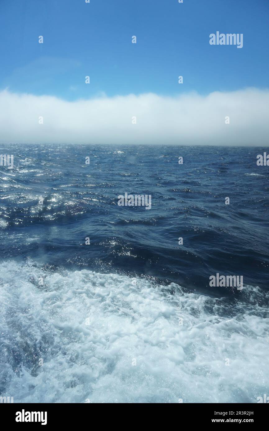 Pacific vibes hi-res stock photography and images - Alamy