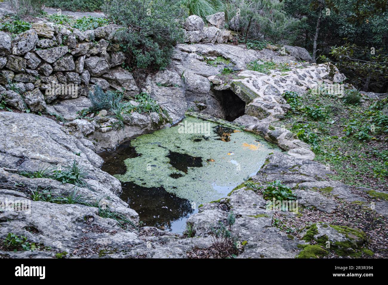 cistern in Sa Cometa Negra, Selva, Mallorca, Balearic Islands, Spain ...