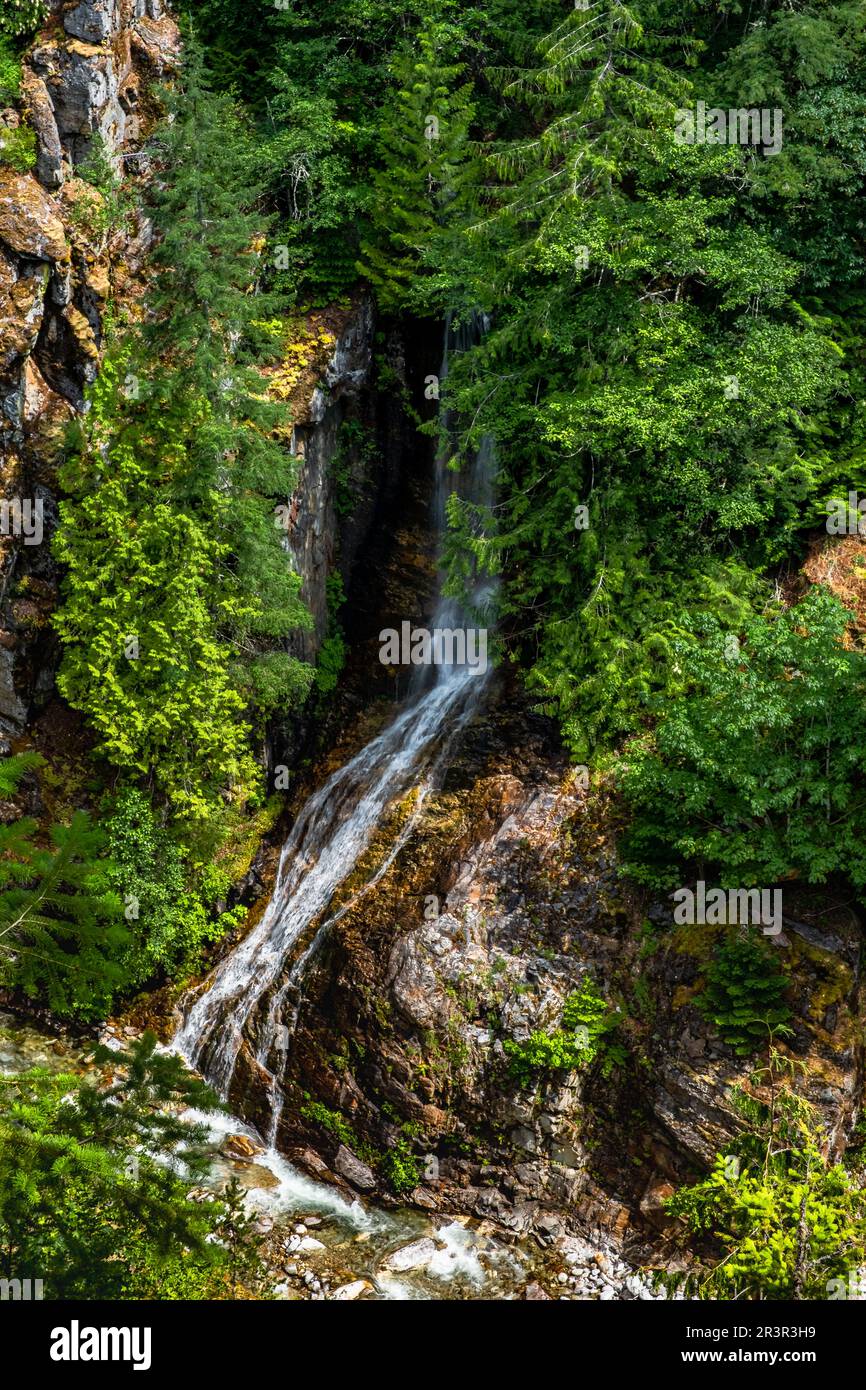 Lush greenery surrounds the gentle Gorge Creek waterfall in the North ...