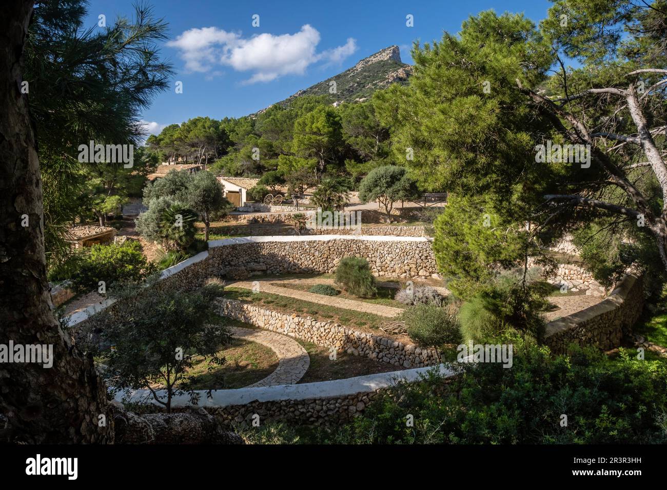 Mediterranean garden of native plants, Sa Dragonera natural park ...