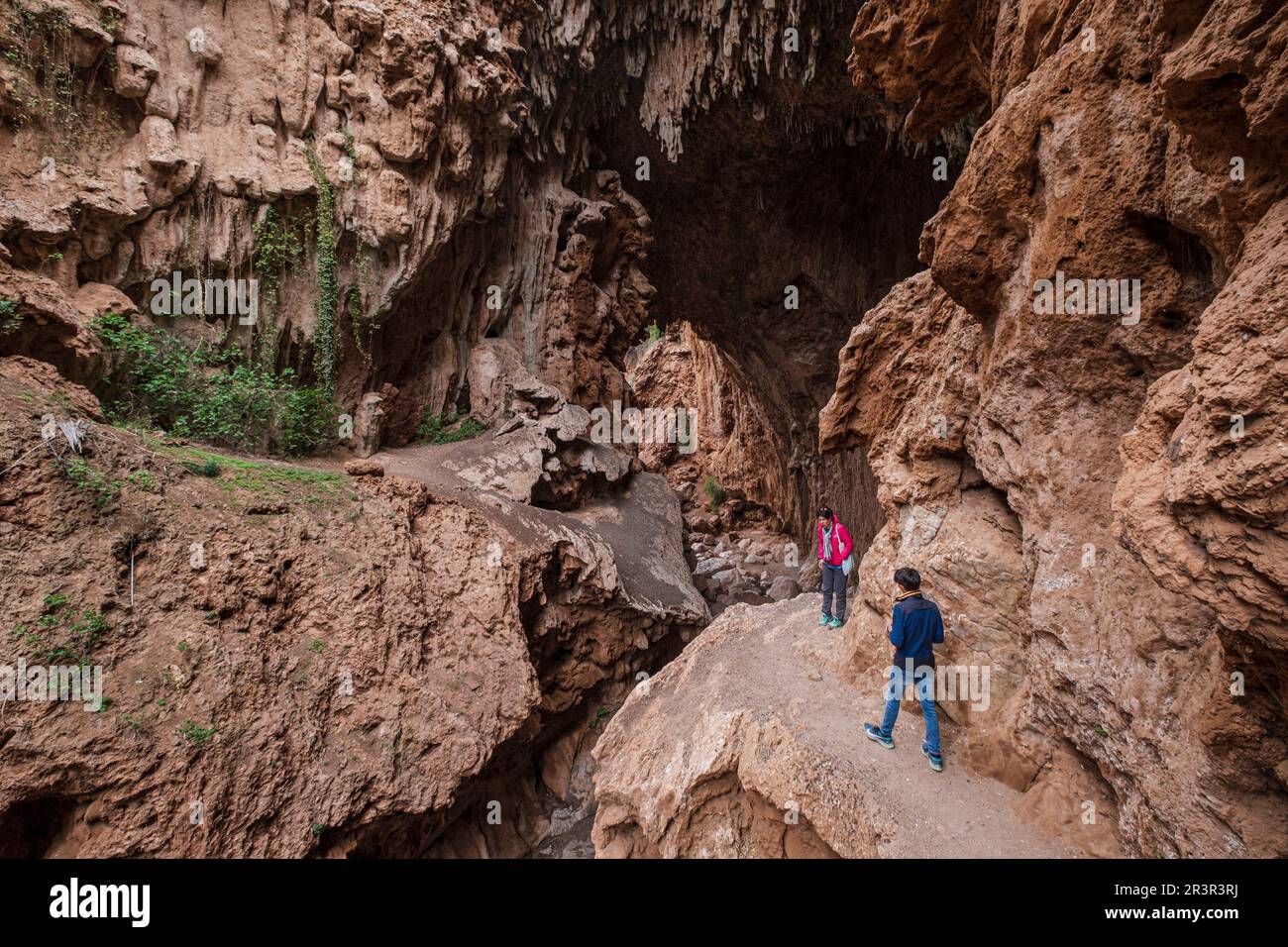 Demnate region hi-res stock photography and images - Alamy