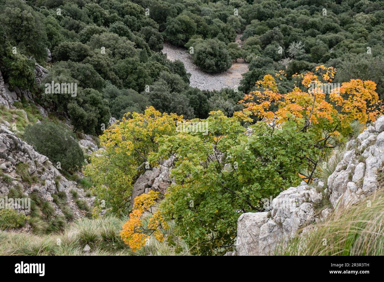 Ses Voltes d'En Galileu, Escorca, Mallorca, Balearic Islands, Spain ...