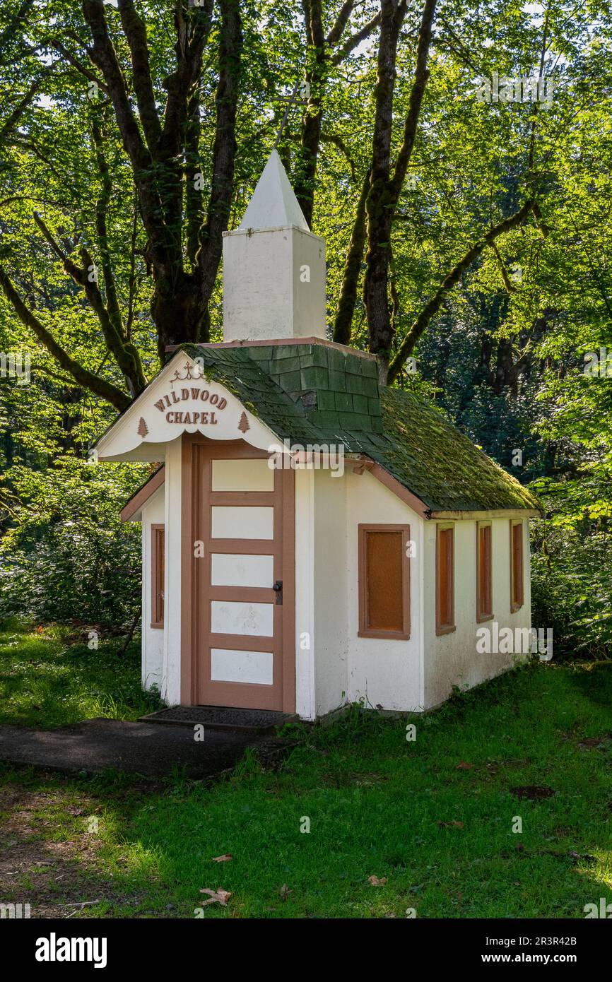 Shady location offers respite and repose to travelers and tourists who ...