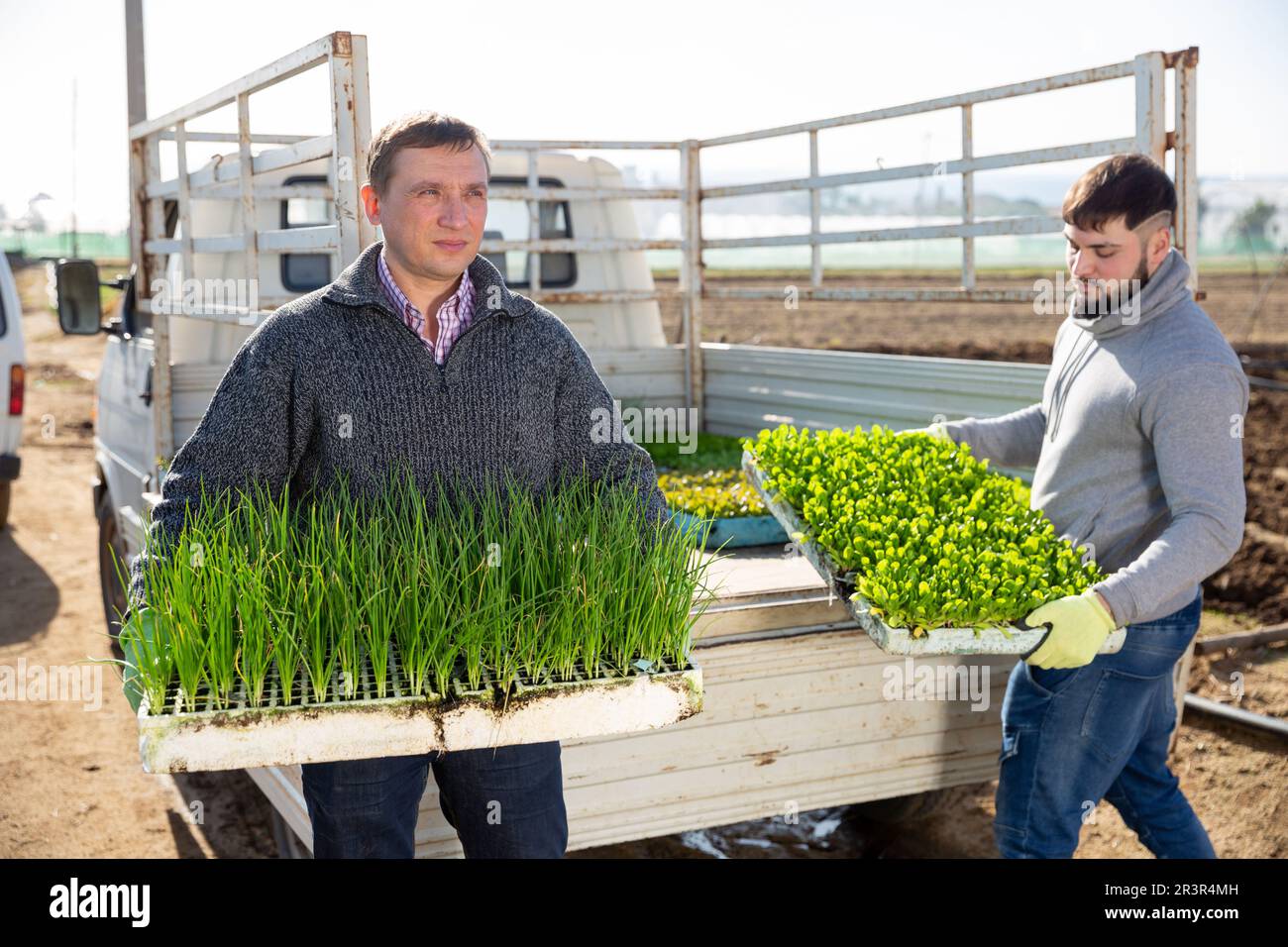 Farm owner with worker unloading truck with seedlings Stock Photo - Alamy