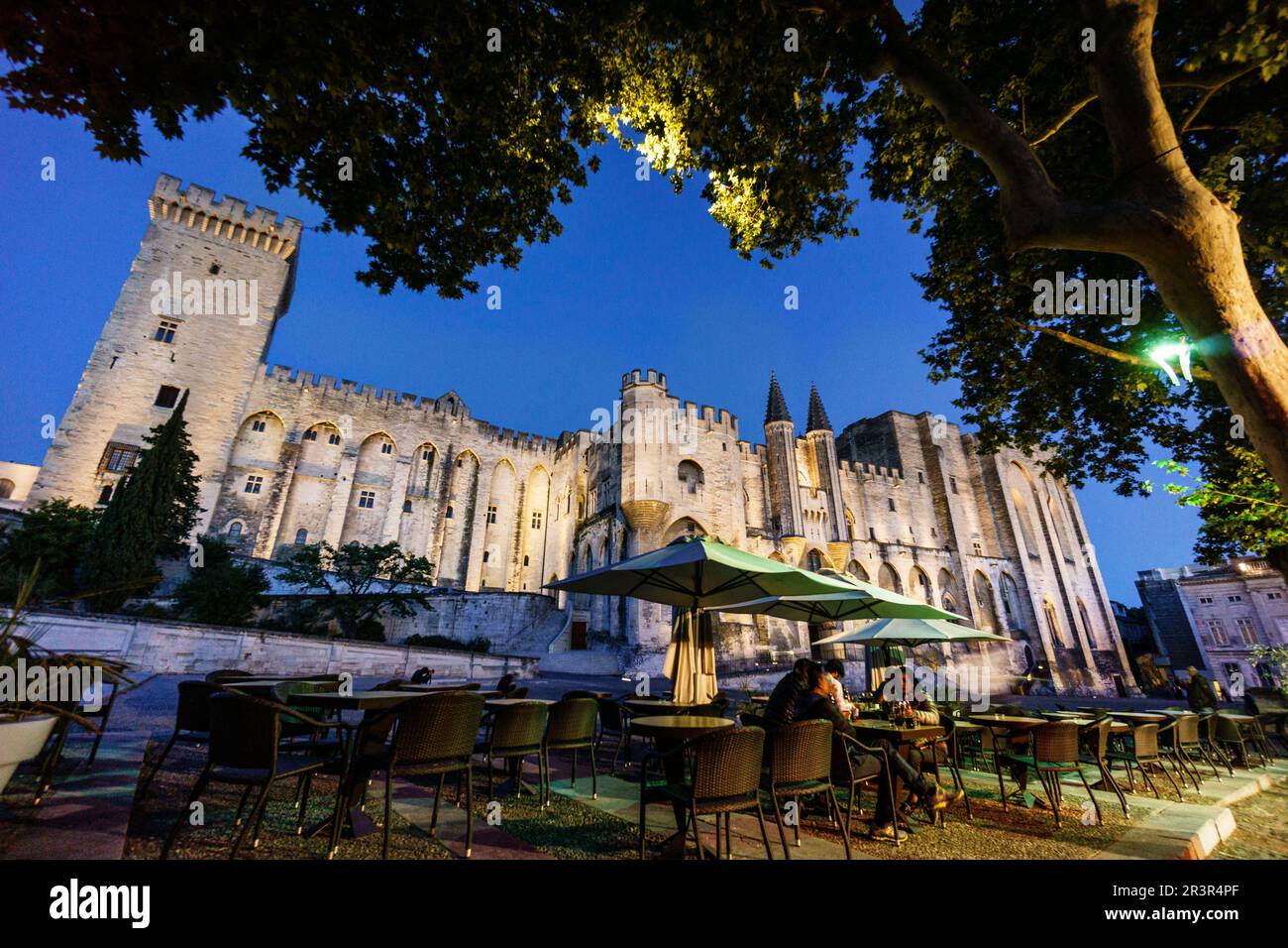Palacio de los Papas, gotico medieval,Avignon,Francia, Europa Stock ...