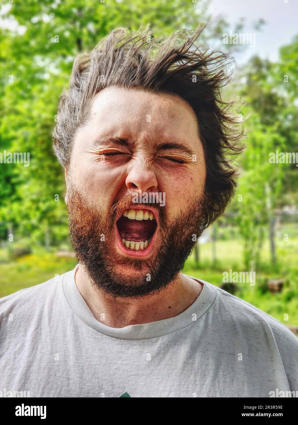 Man hair blowing wind hi-res stock photography and images - Alamy
