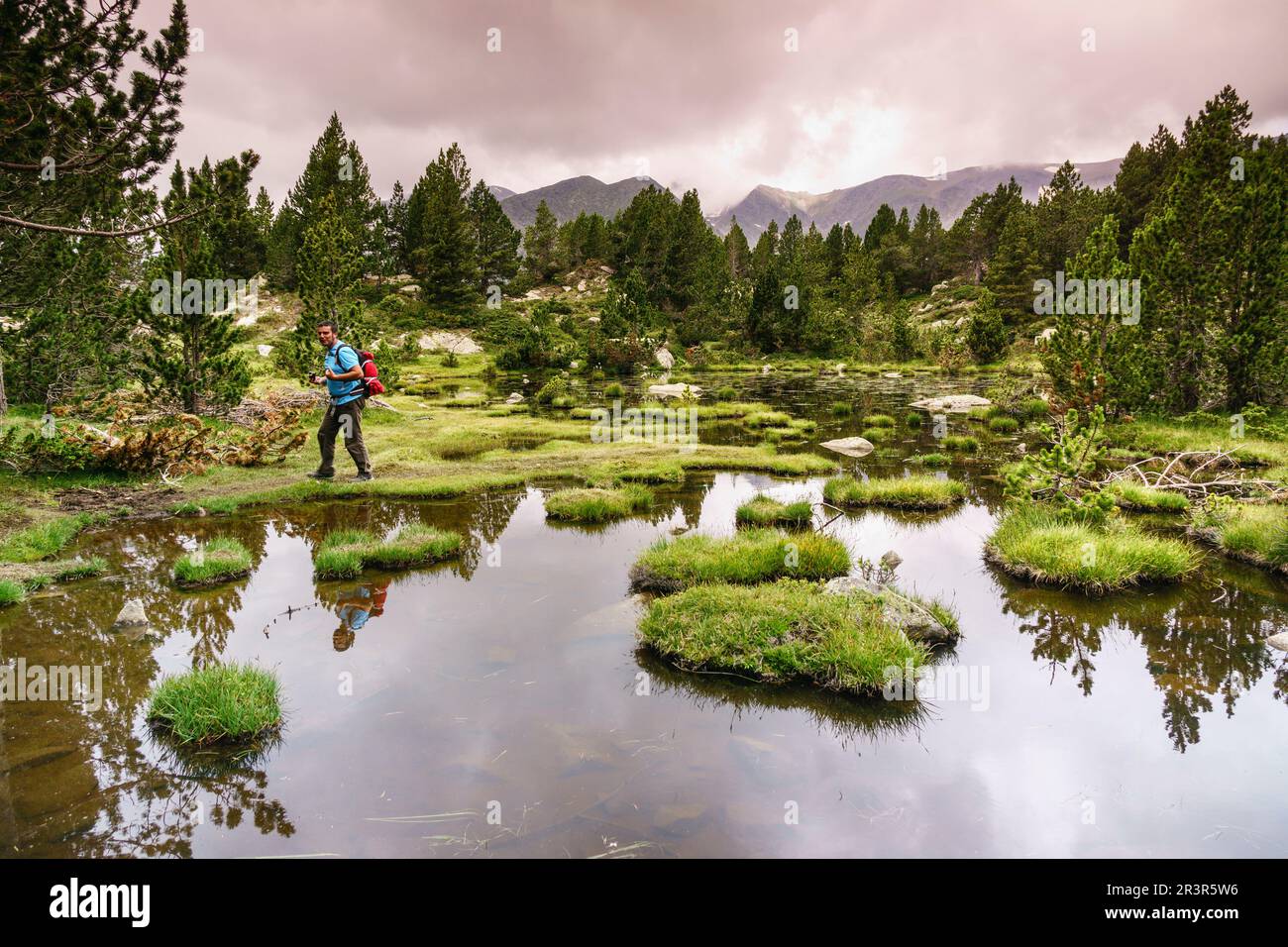 Vegetación del lago verde hi-res stock photography and images - Alamy