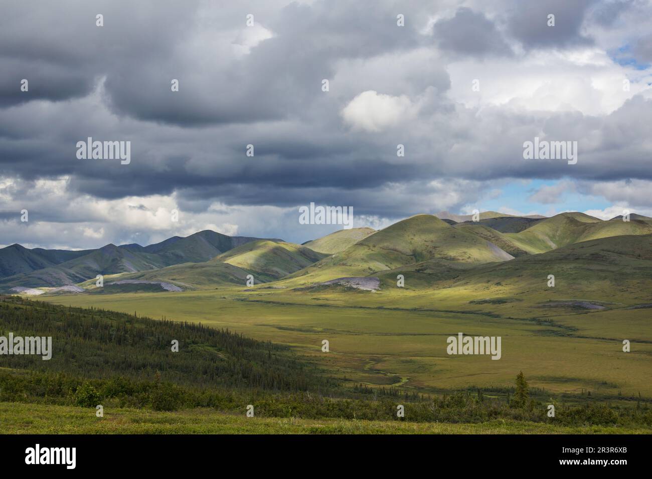 Plain tundra hi-res stock photography and images - Alamy
