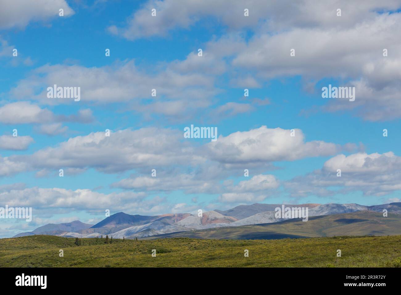 Plain tundra hi-res stock photography and images - Alamy