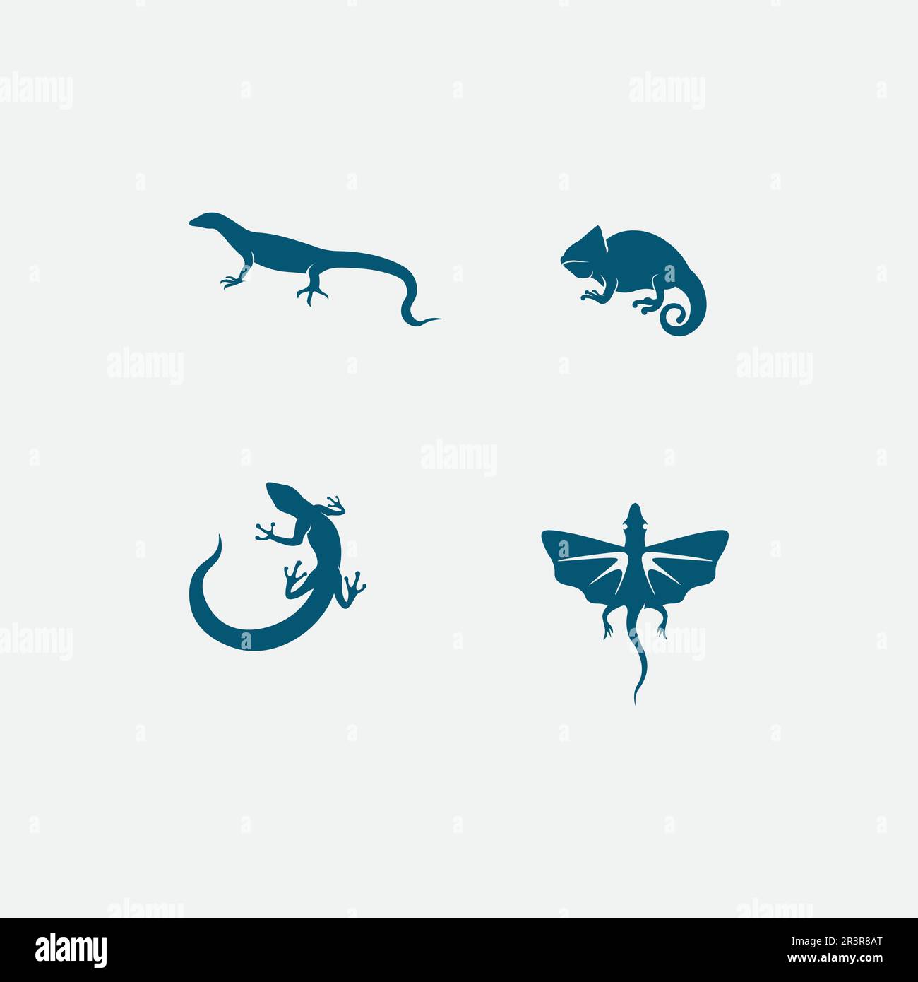 animal vector lizard salamander gecko crocodile and reptiles design ...