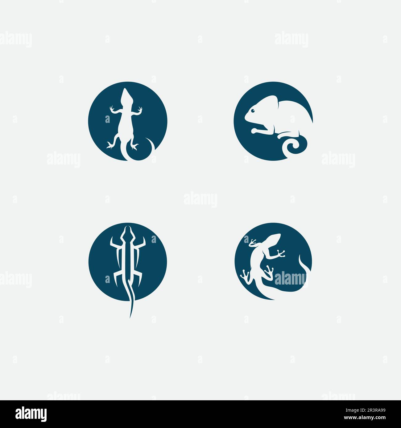 animal vector lizard salamander gecko crocodile and reptiles design ...