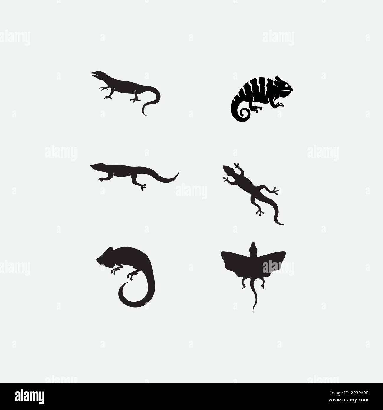 animal vector lizard salamander gecko crocodile and reptiles design ...