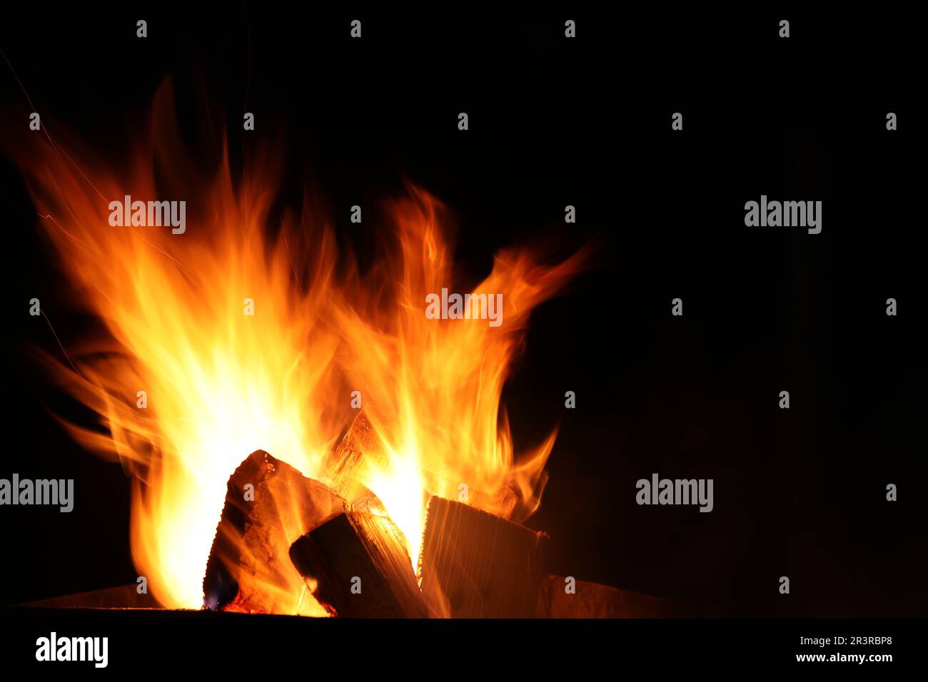 Beautiful bright bonfire with burning wood outdoors at night, space for ...