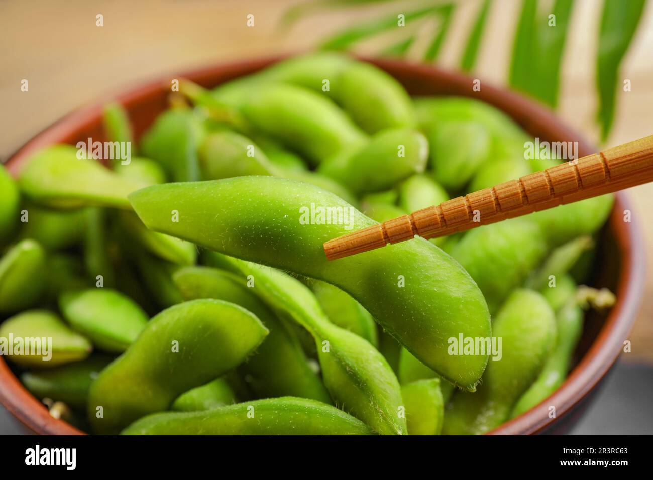 Taking edamame beans in pod from bowl with chopsticks, closeup Stock ...