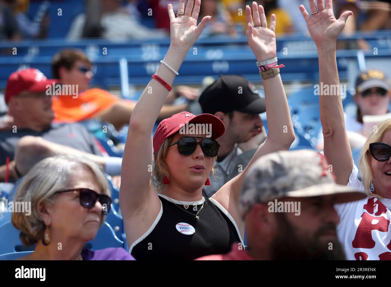 HOOVER, AL - MAY 24: An Arkansas Razorbacks fan cheers during the 2023 ...