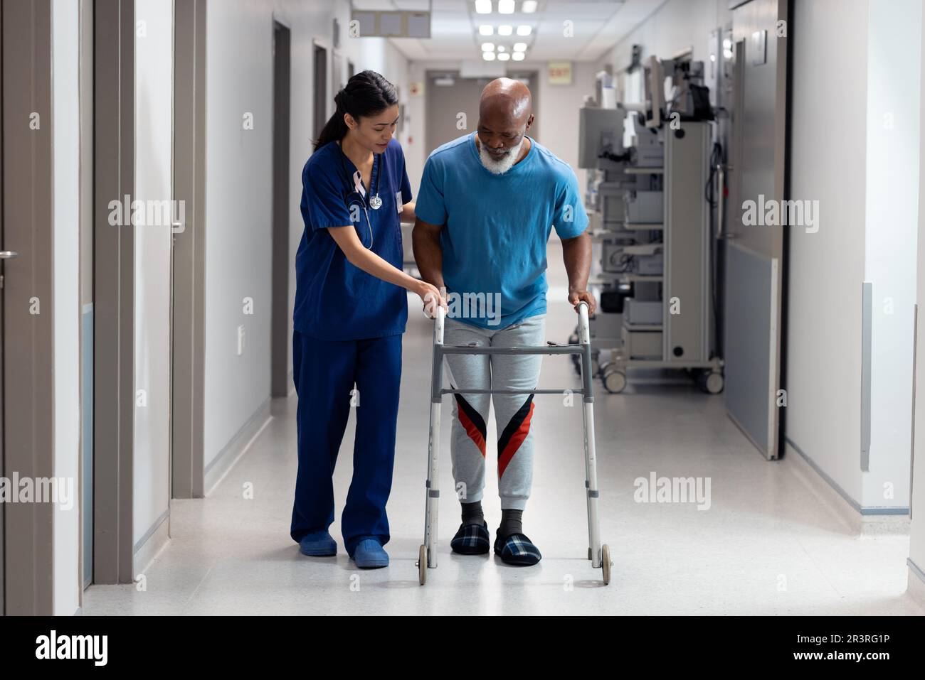 Diverse female doctor helping senior male patient use walking frame in ...
