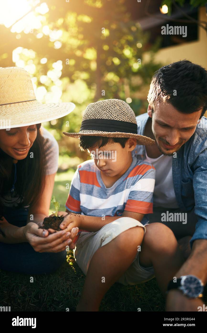 Family, soil or child learning in garden for sustainability, agriculture or farming development ...