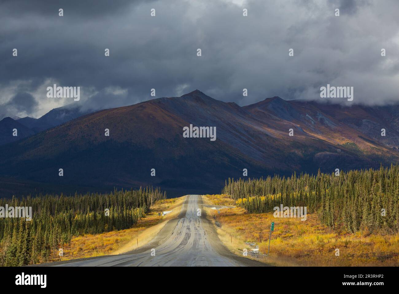 Backwoods road hi-res stock photography and images - Alamy