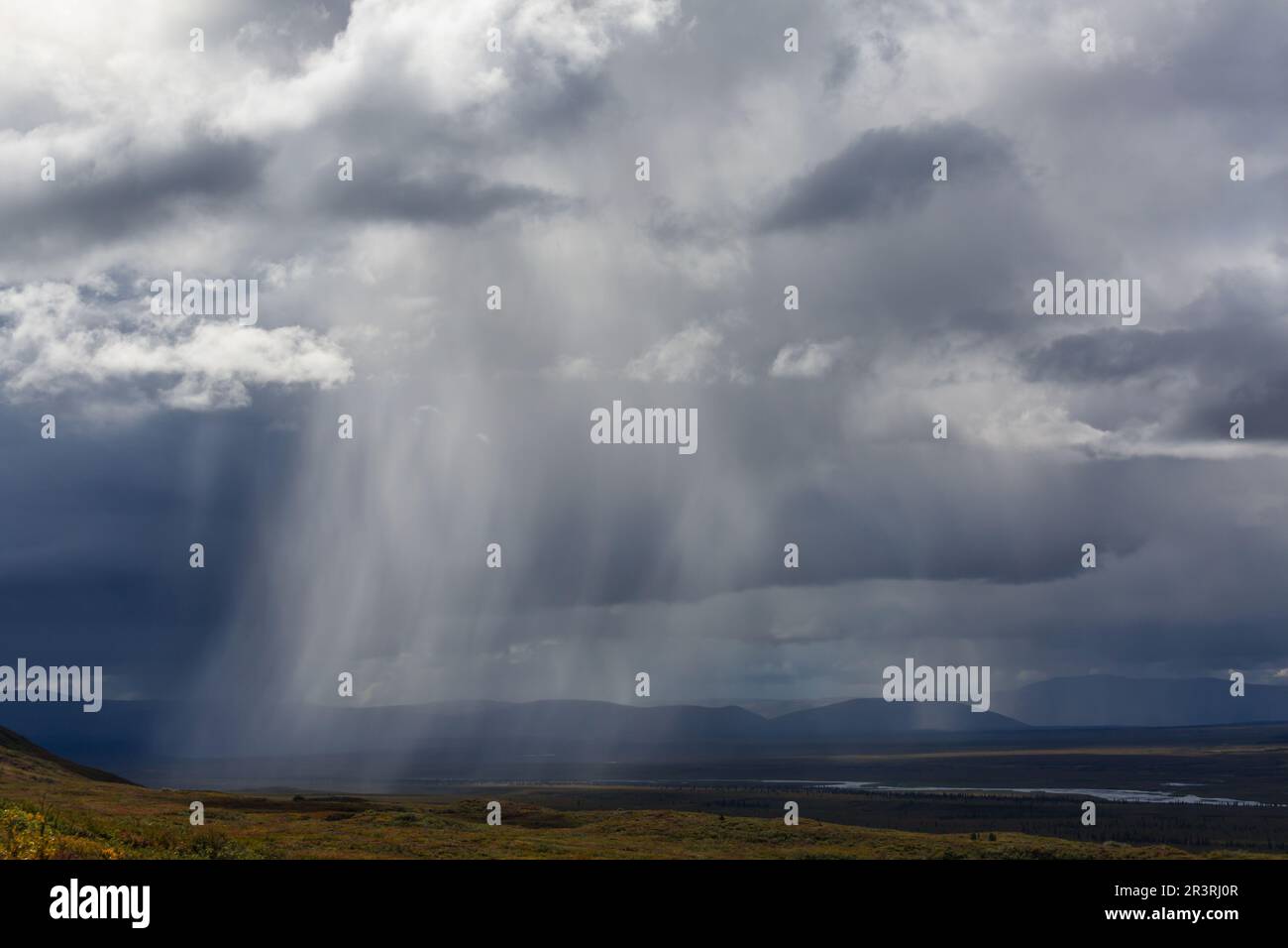 Arctic rain north america hi-res stock photography and images - Alamy