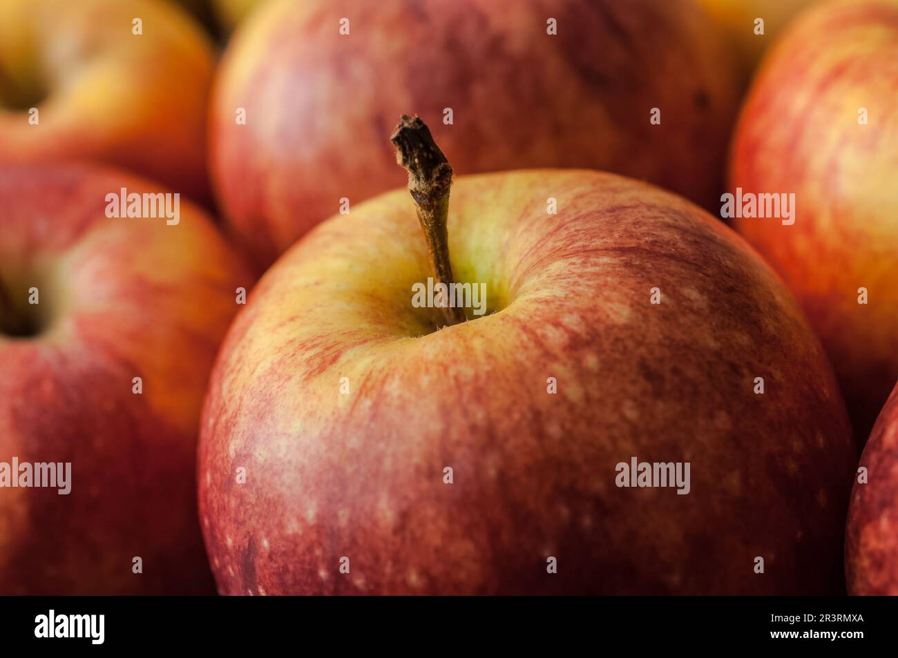 Red apple close-up Stock Photo - Alamy