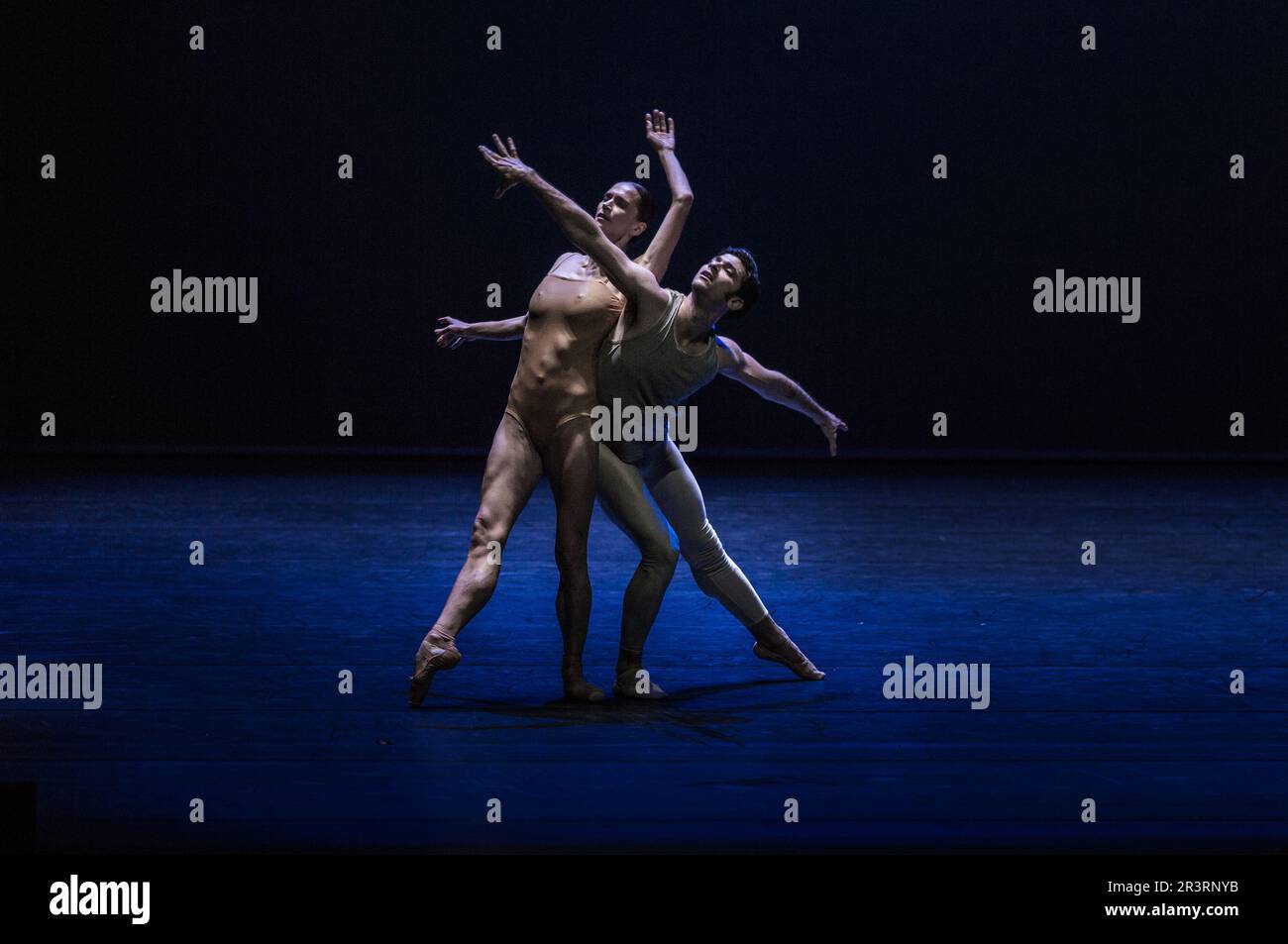 David dawson ballet hi-res stock photography and images - Alamy