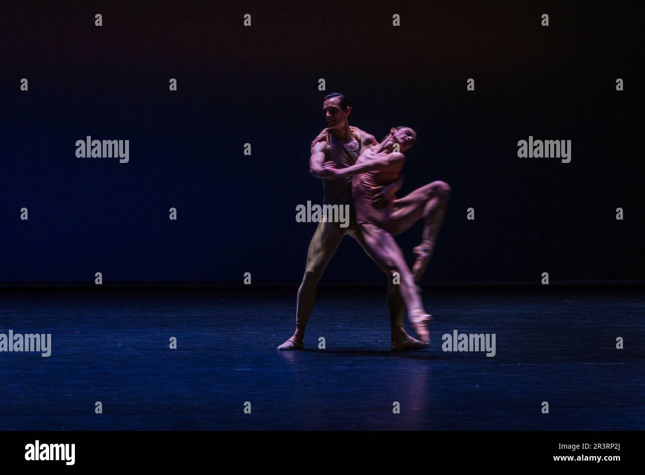 David dawson ballet hi-res stock photography and images - Alamy