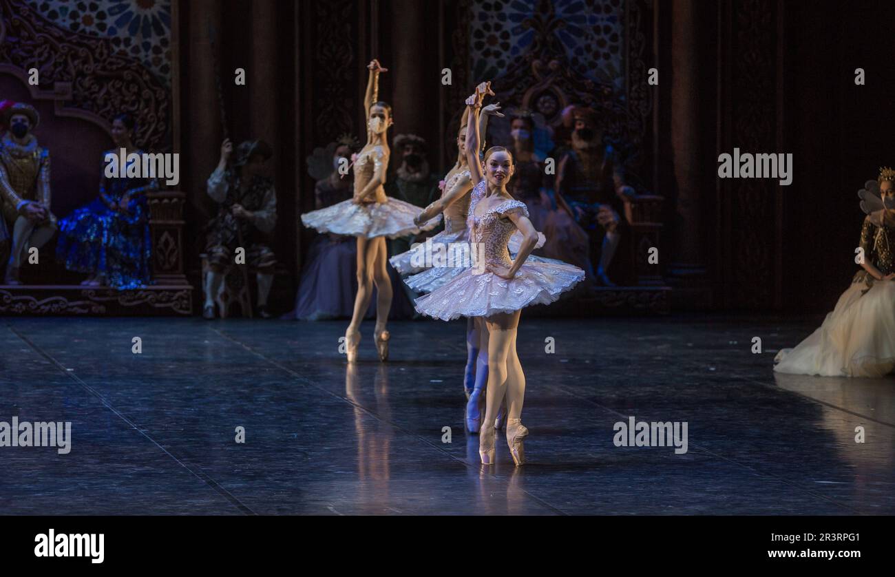 Alexander gorski hi-res stock photography and images - Alamy