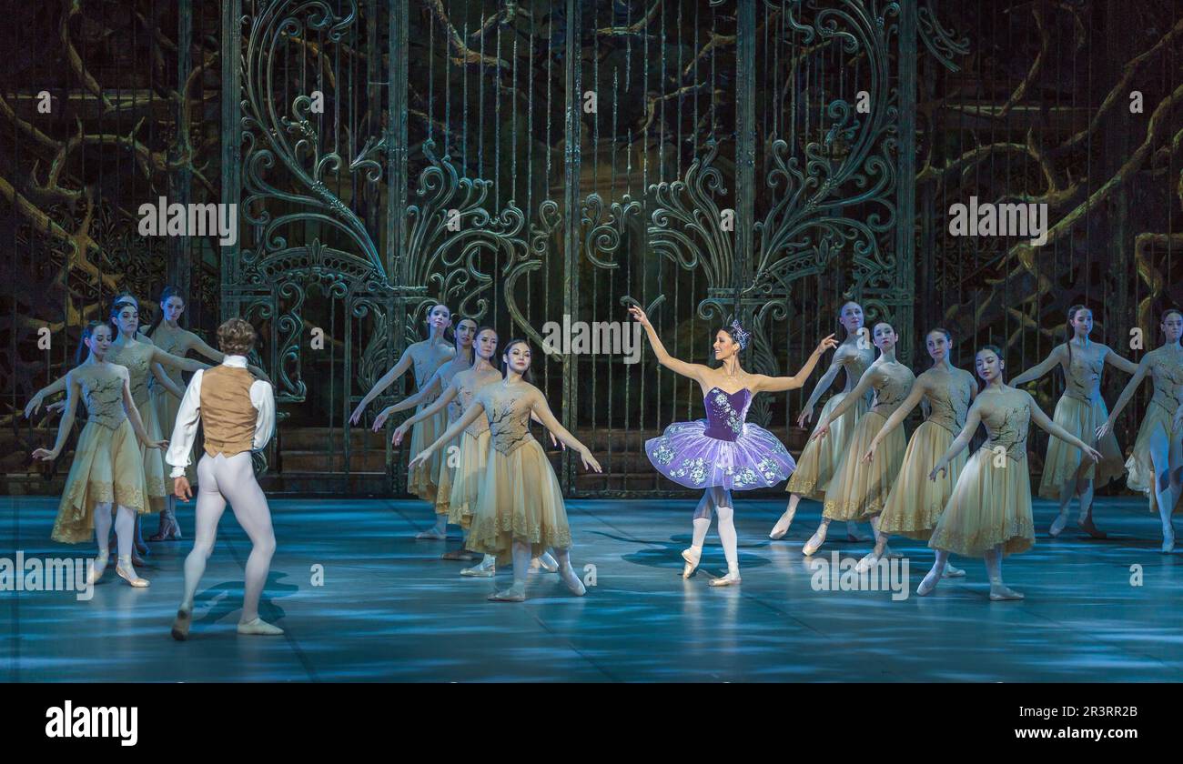 Sleeping Beauty (Berlin State Ballet Stock Photo - Alamy