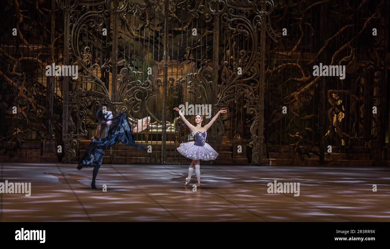 Sleeping Beauty (Berlin State Ballet Stock Photo - Alamy