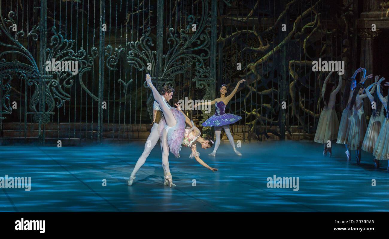 Sleeping Beauty (Berlin State Ballet Stock Photo - Alamy