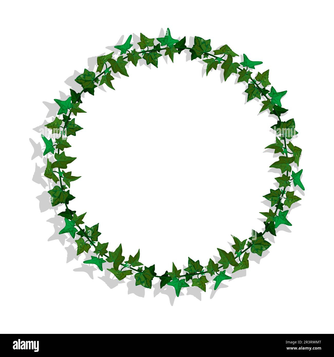 ivy wreath vector