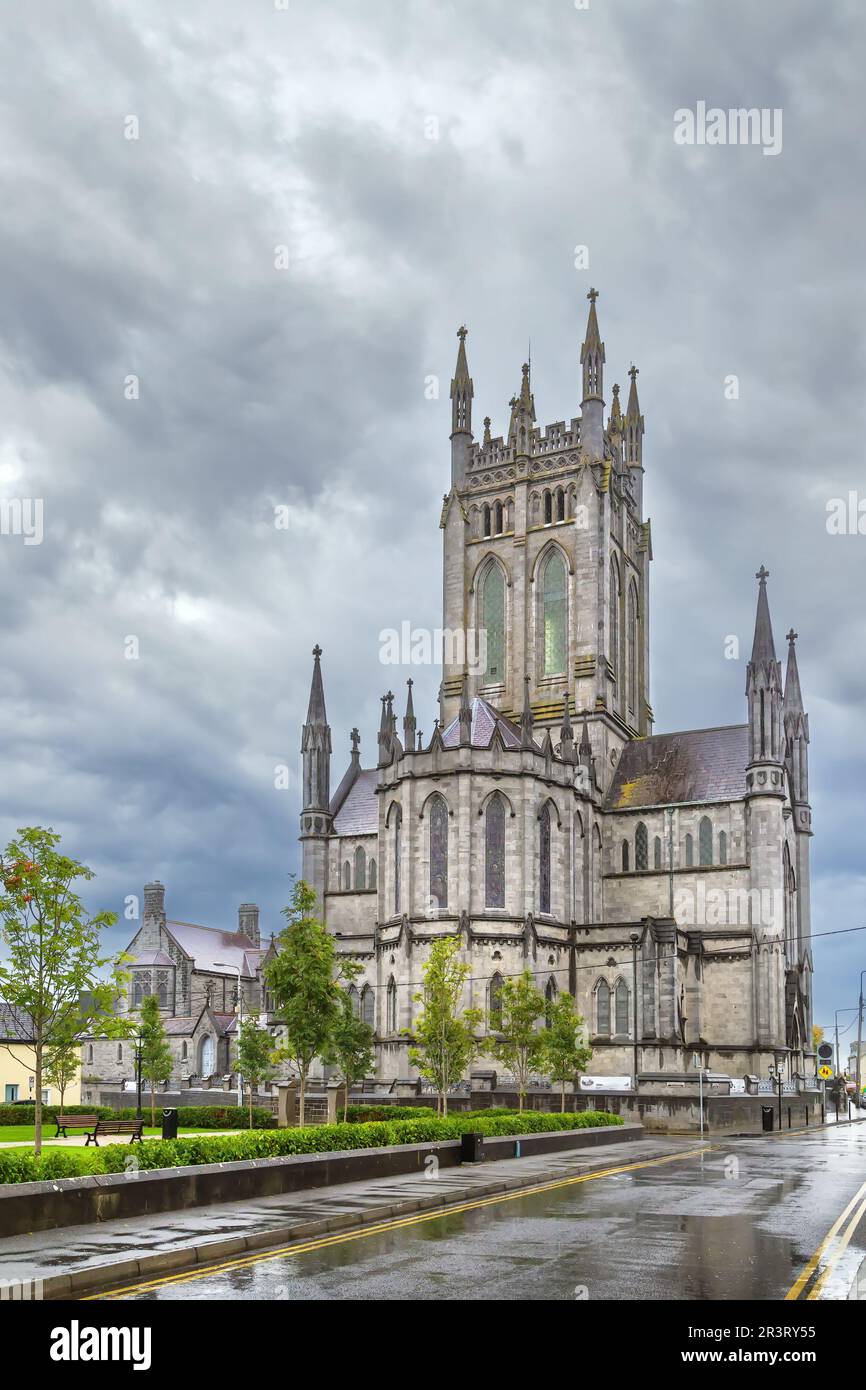 St Mary's Cathedral, Kilkenny, Ireland Stock Photo - Alamy