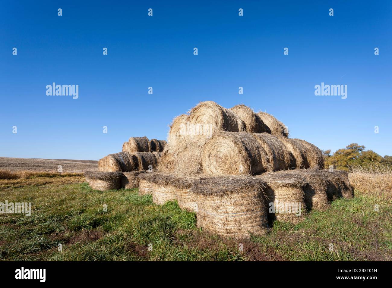 Bundles of grass hi-res stock photography and images - Alamy