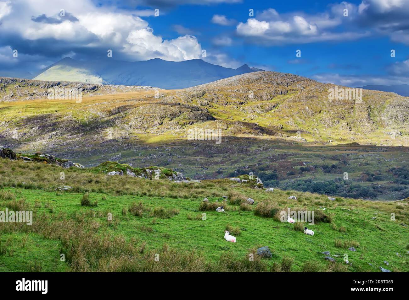 Landscape in Ring of Kerry, Ireland Stock Photo - Alamy