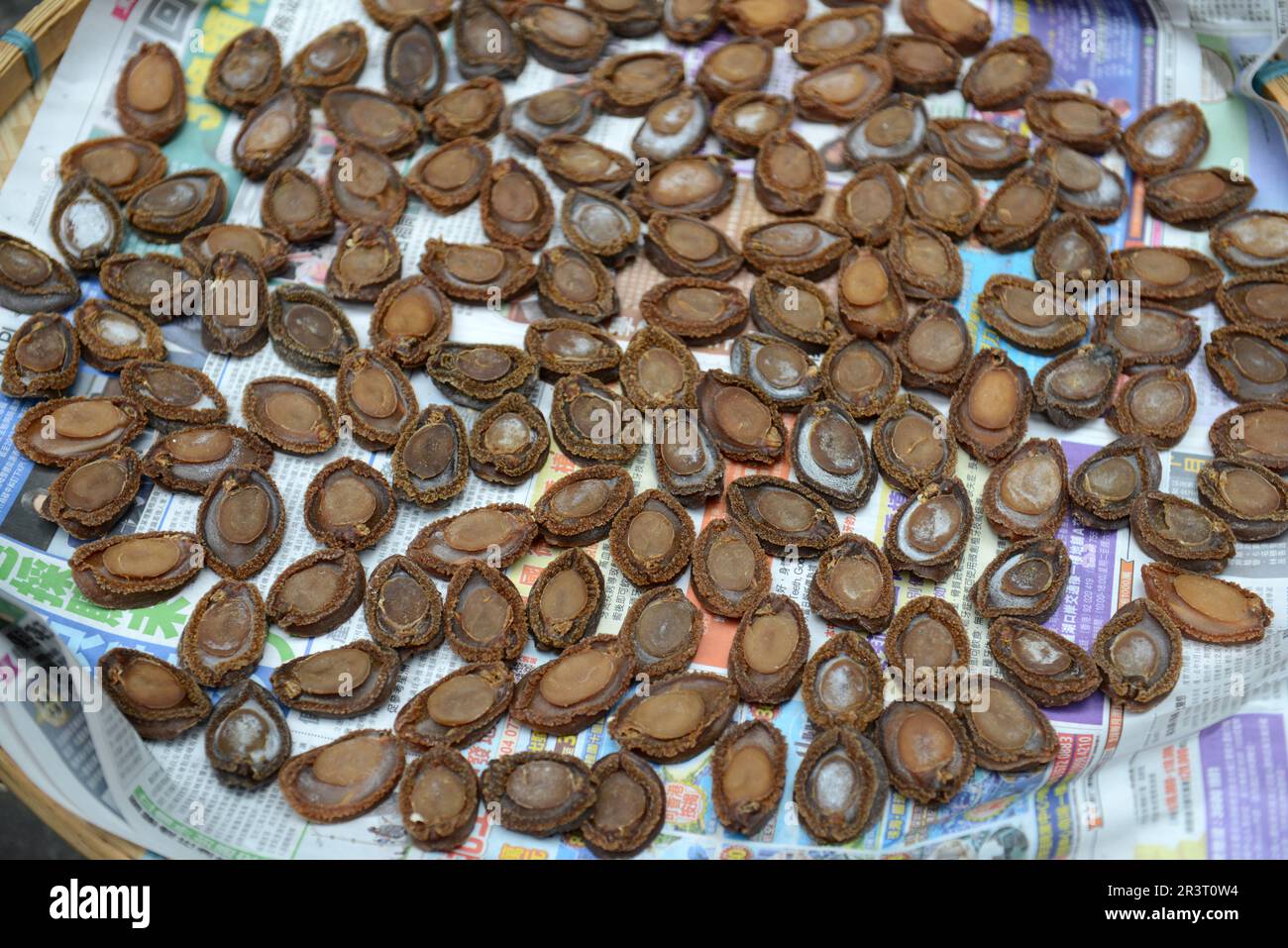 Chinese abalone hi-res stock photography and images - Alamy