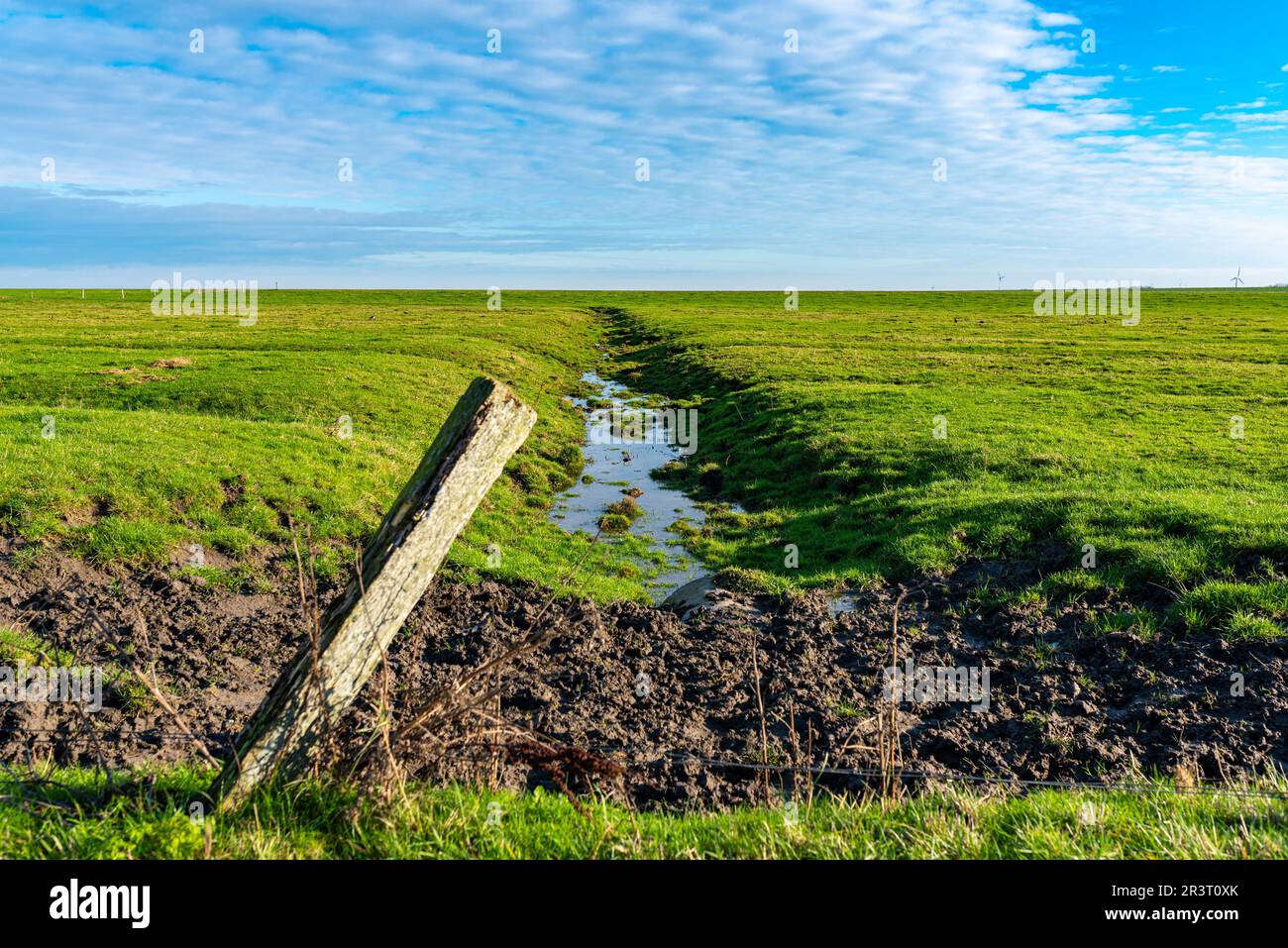 Drainage ditch in the marshland of the East Frisian North Sea coast ...