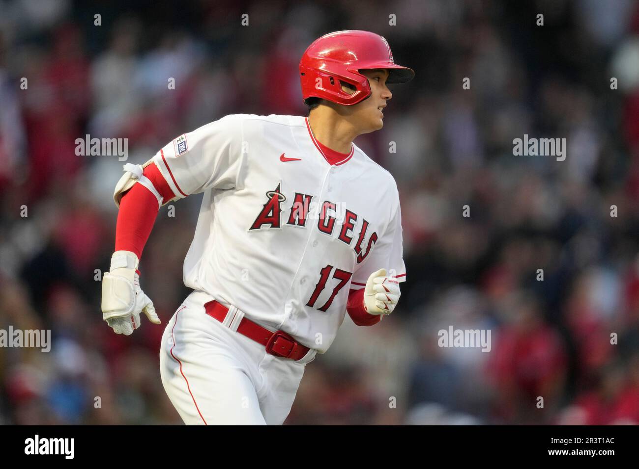 Los Angeles Angels designated hitter Shohei Ohtani (17) runs the bases ...