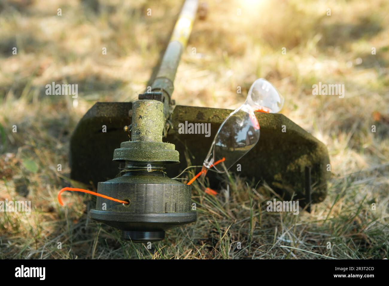 Trimmer after mowing grass close-up. Petrol pump on the grass with ...