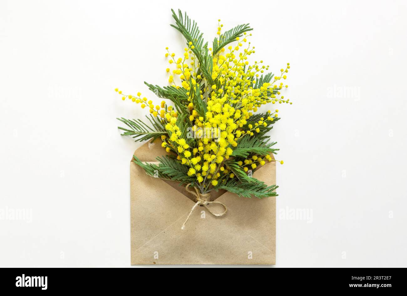 A yellow bouquet of mimosa and a gift box and a kraft paper bag ...