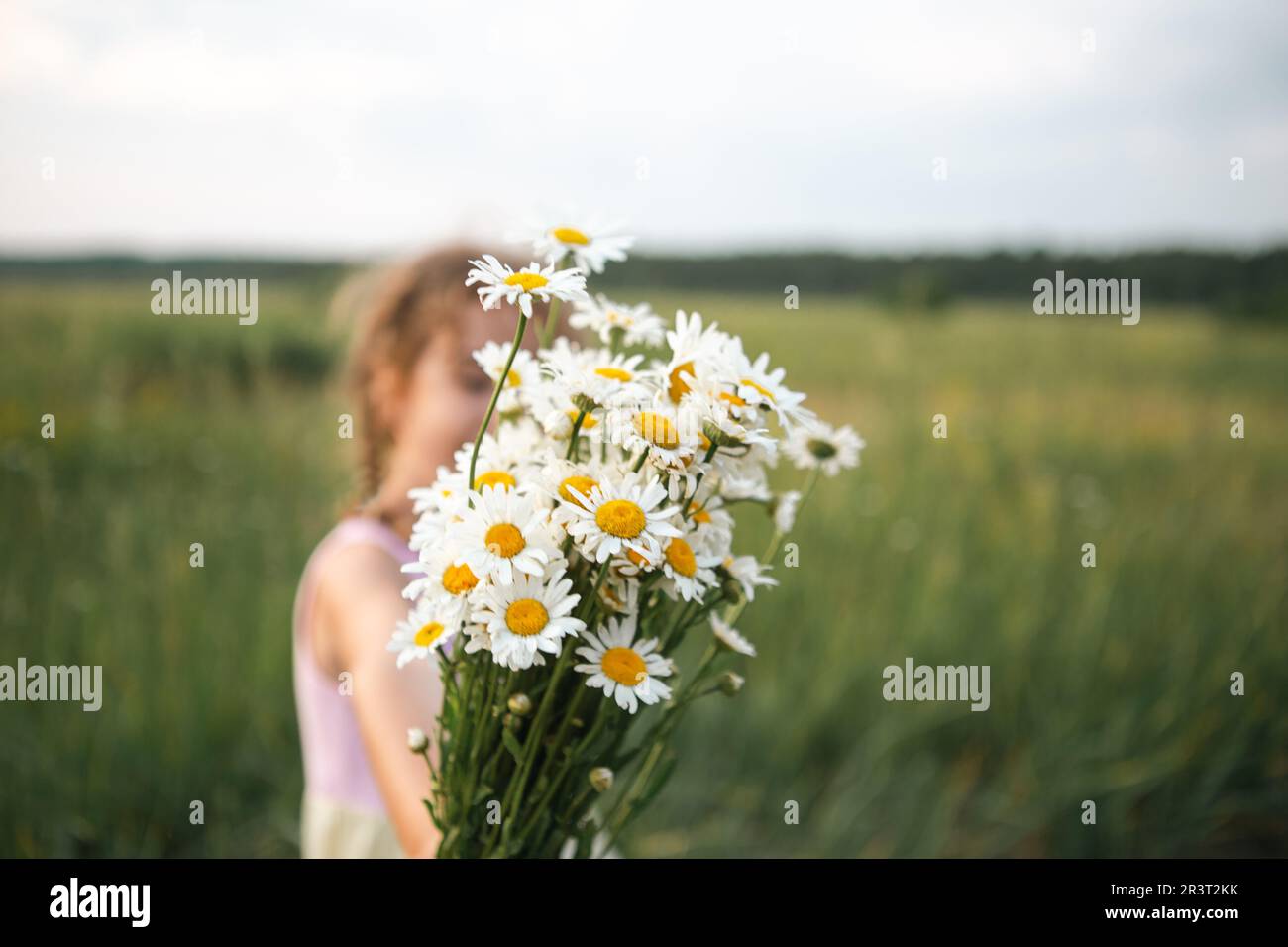 Portrait cute child girl with a bouquet of chamomile in summer on a ...